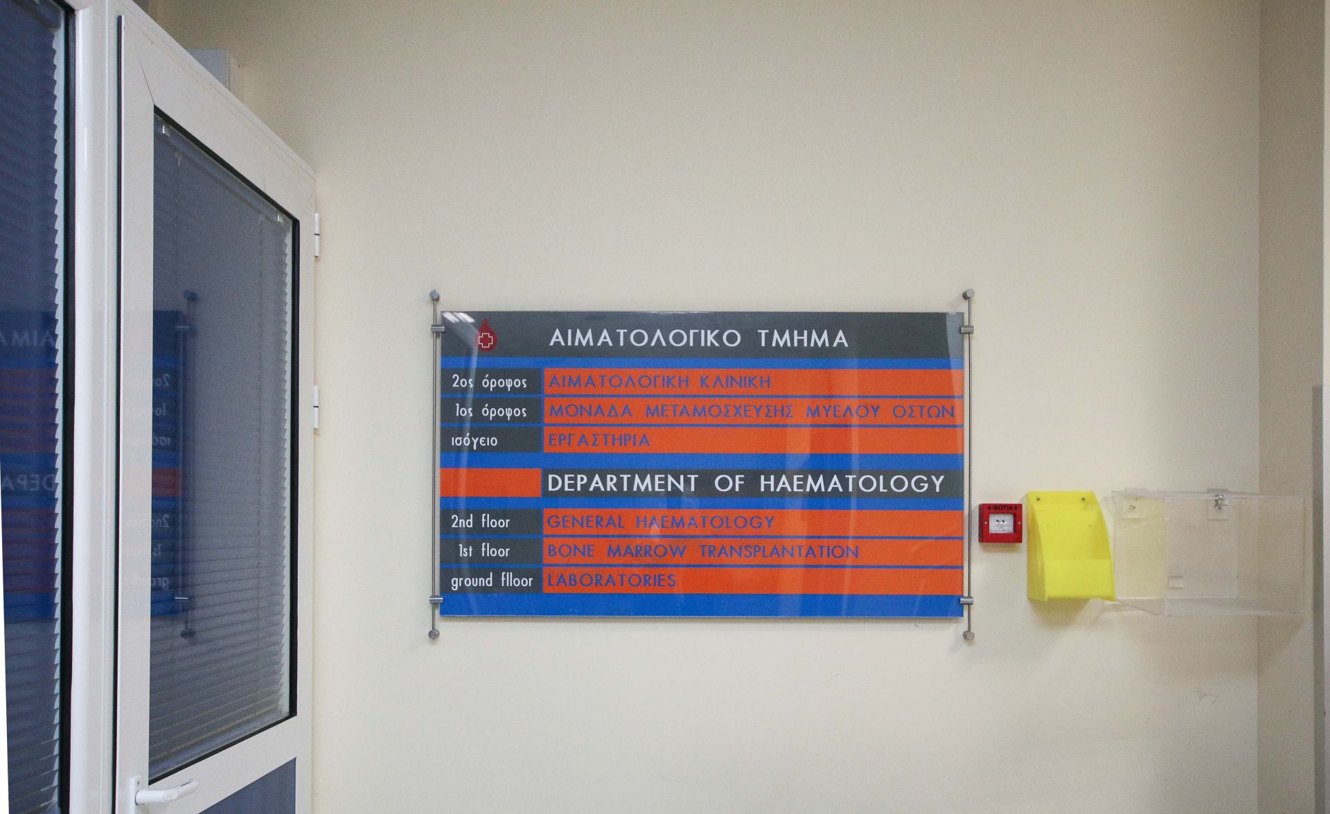 Πρωταθλήτρια η αιματολογική του «Γ. Παπανικολάου» - ΑΙΜΑΤΟΛΟΓΙΚΗ ...